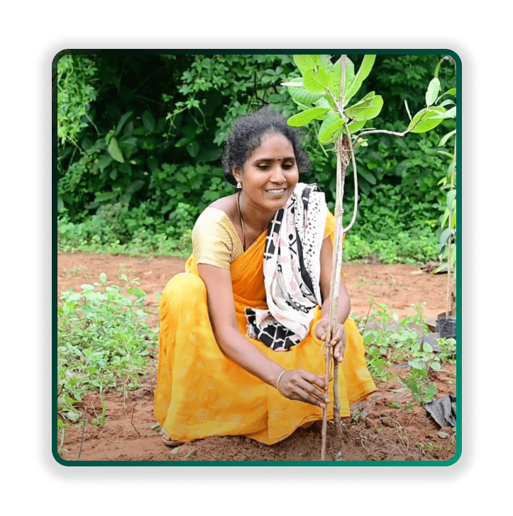 Varaha - World's only developing economies focused climate tech venture