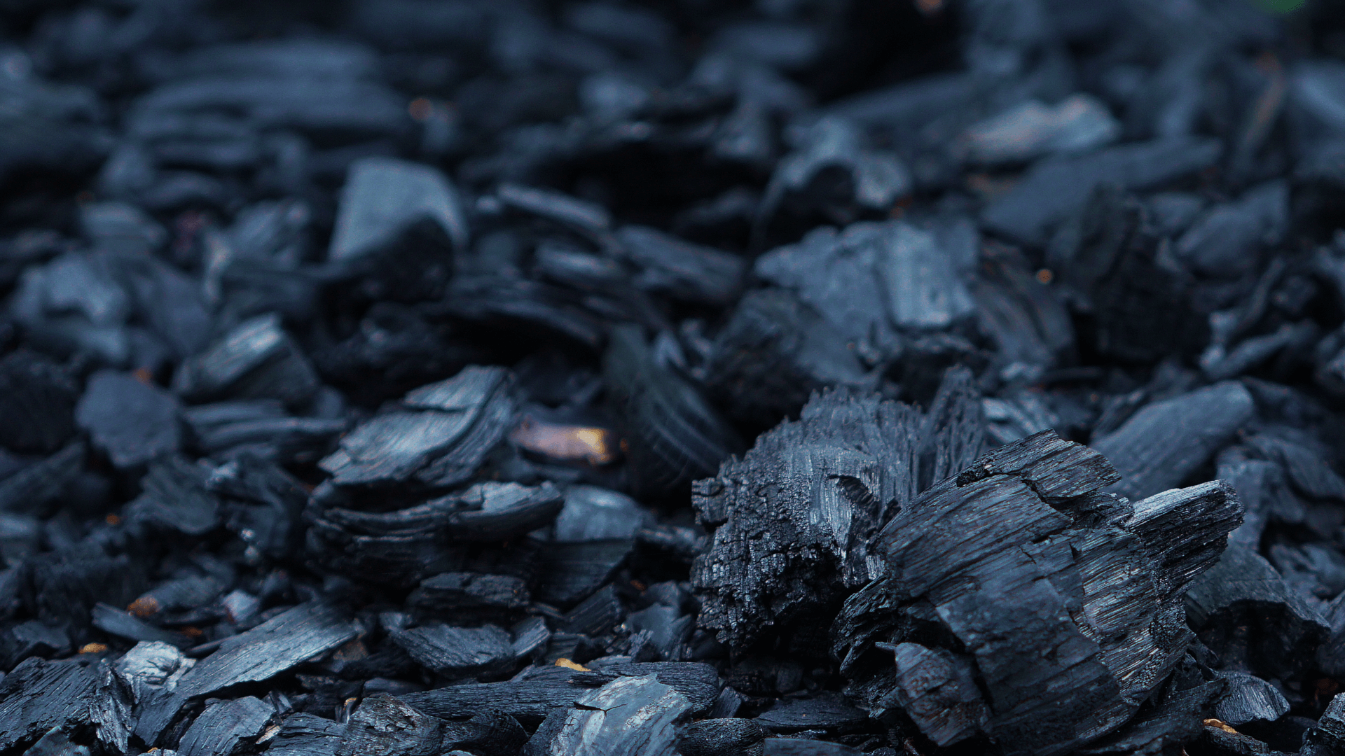 Varaha - World's only developing economies focused climate tech venture